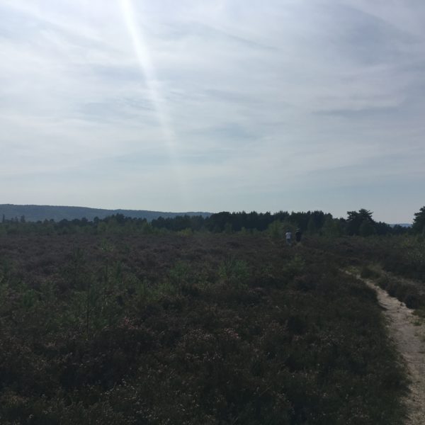 Gallery – WOODFIRE Camping